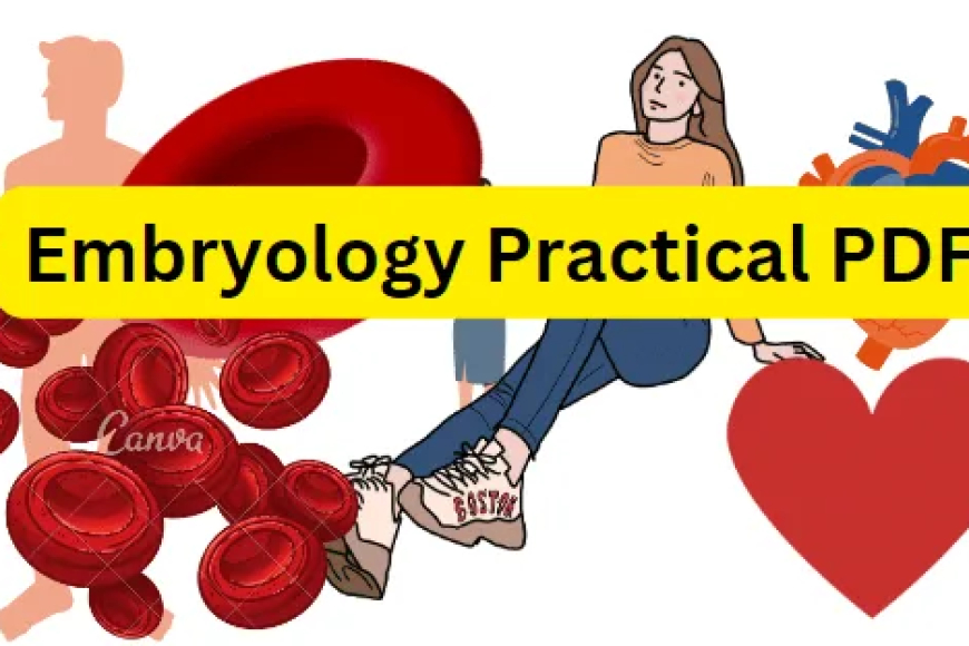 Embryology Practical PDF / Honours 2nd Year - Educational & Informative ...